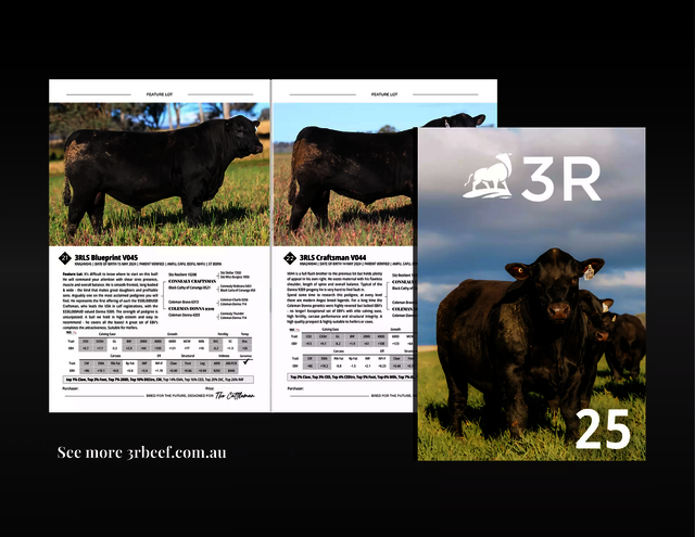 3R Angus